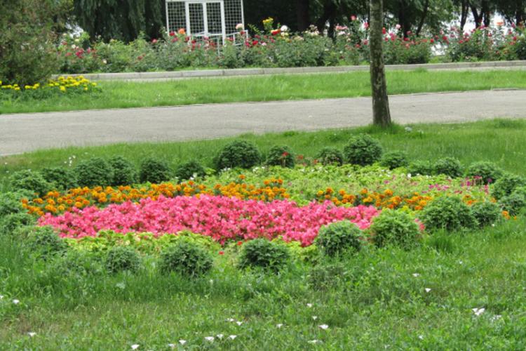 “Gazon englezesc” și pete de culoare pe Faleză | Obiectiv Vocea Brailei